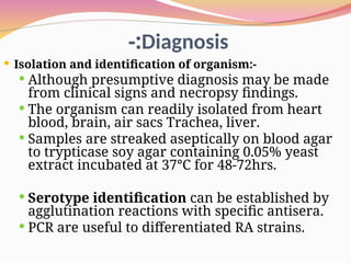 Riemerella anatipestifer infection&Bordetellosis.ppt