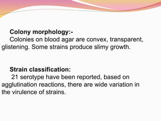 Riemerella anatipestifer infection&Bordetellosis.ppt
