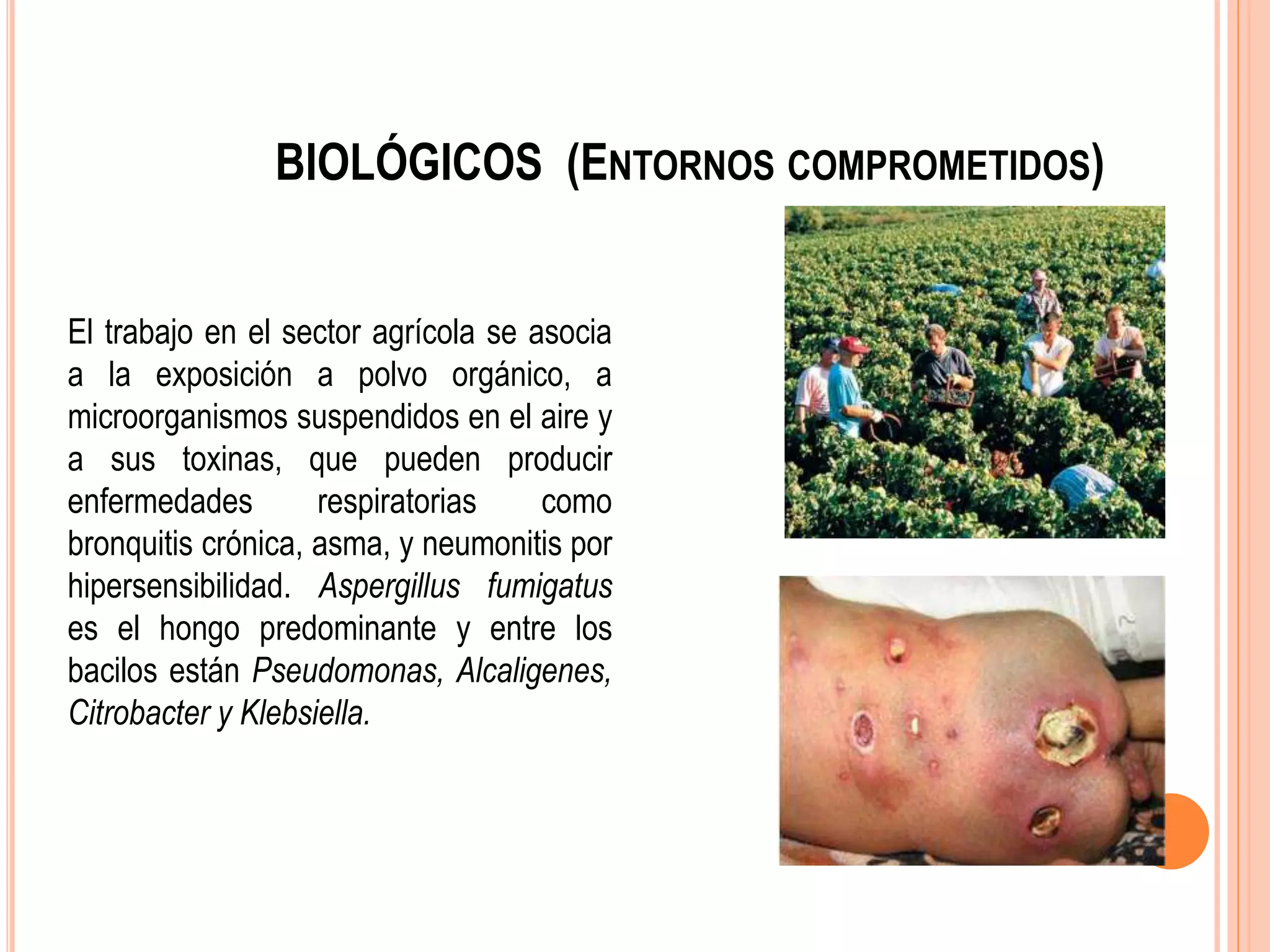 Riesgos biológicos manejos y evaluación de riesgos | PPTX