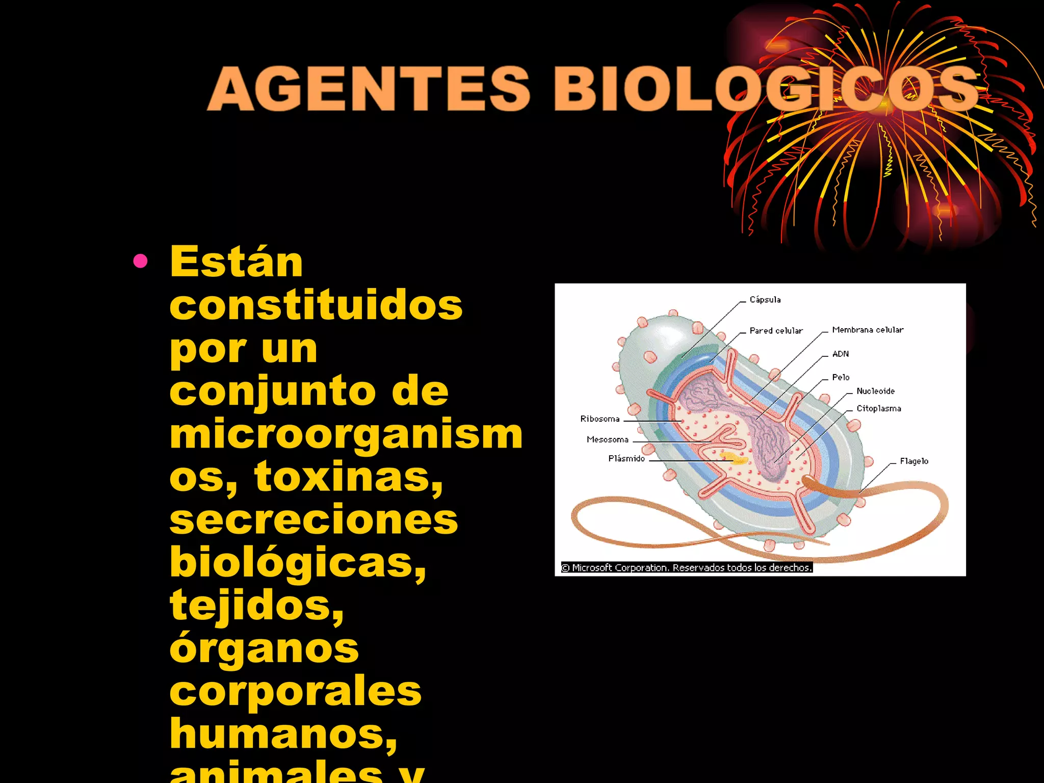 Riesgos Biologicos | PPT