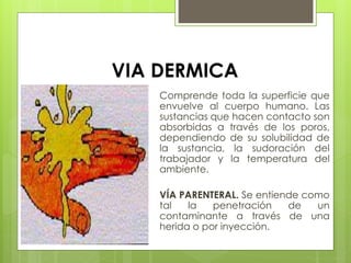 Riesgos quimicos | PPTX