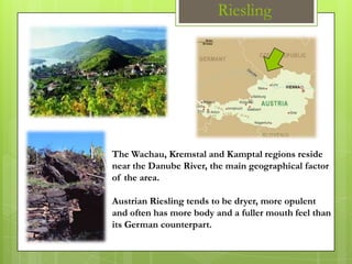 Riesling | PPTX