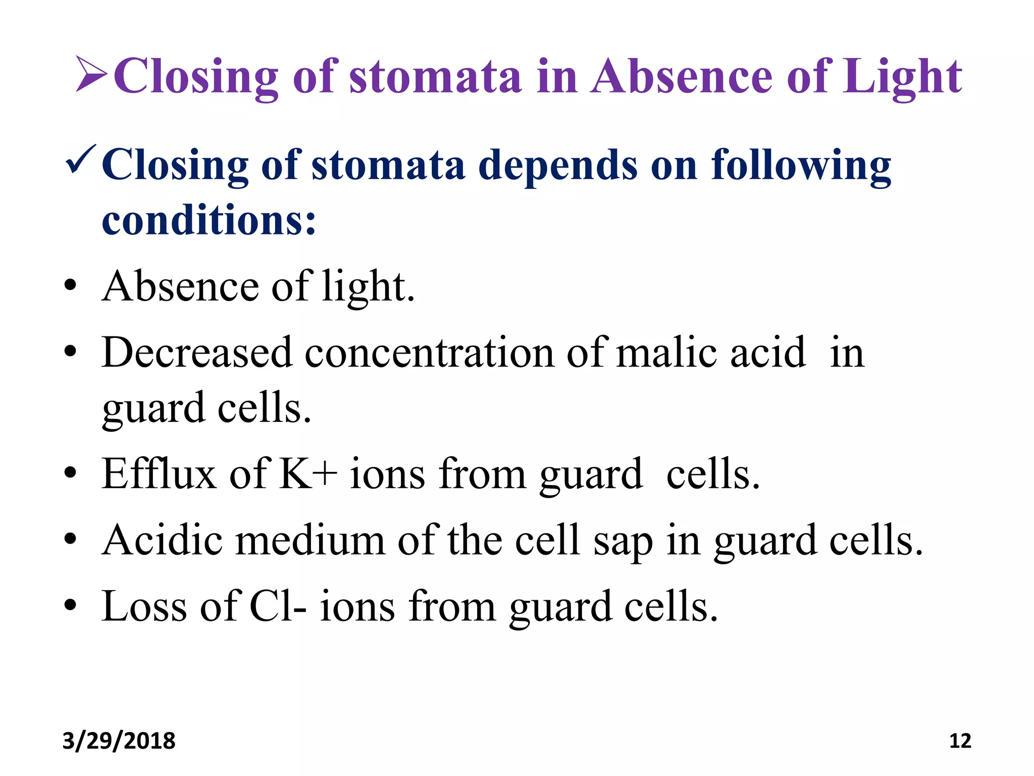 Presentation on stomata | PPTX