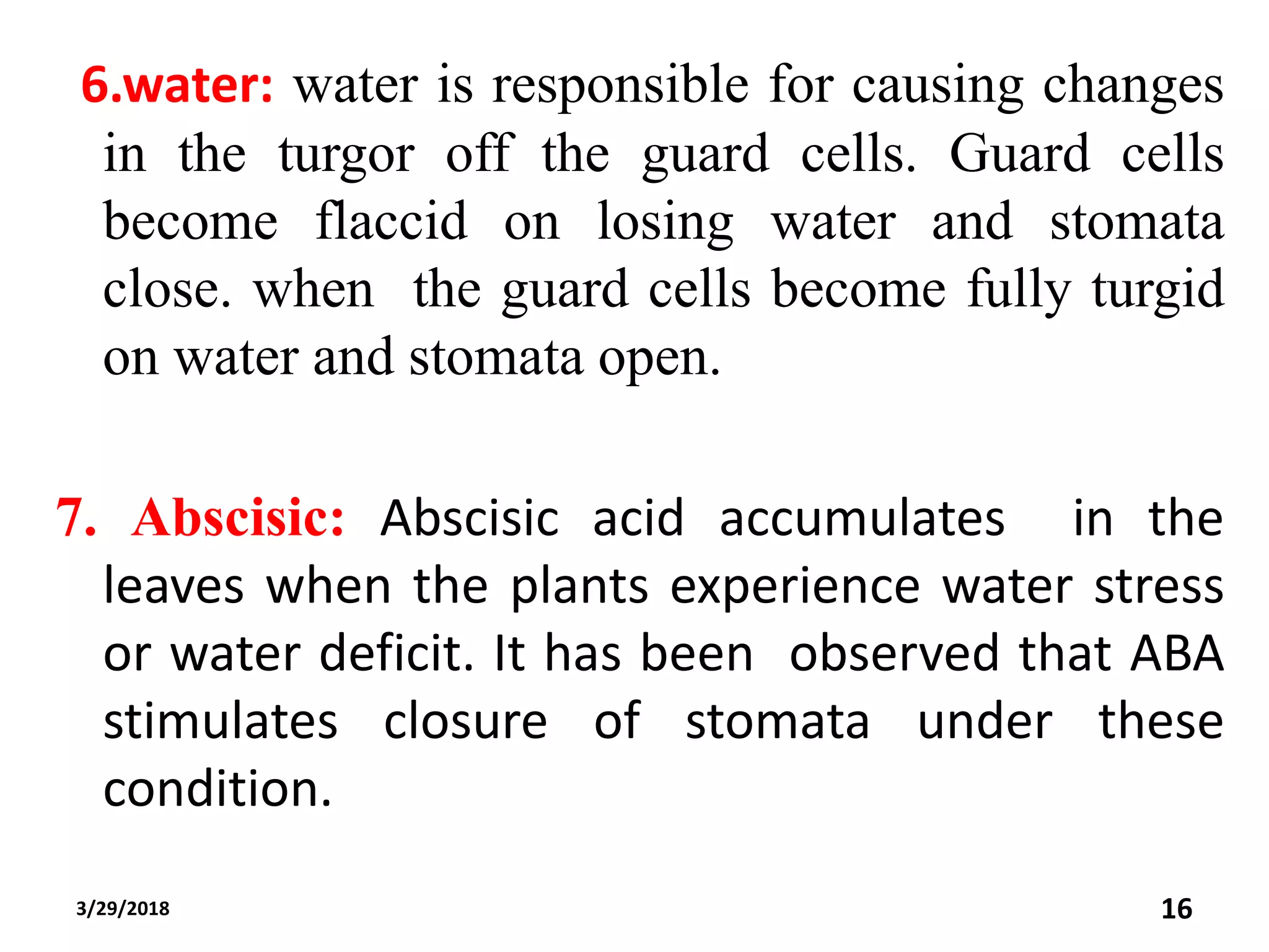 Presentation on stomata | PPTX