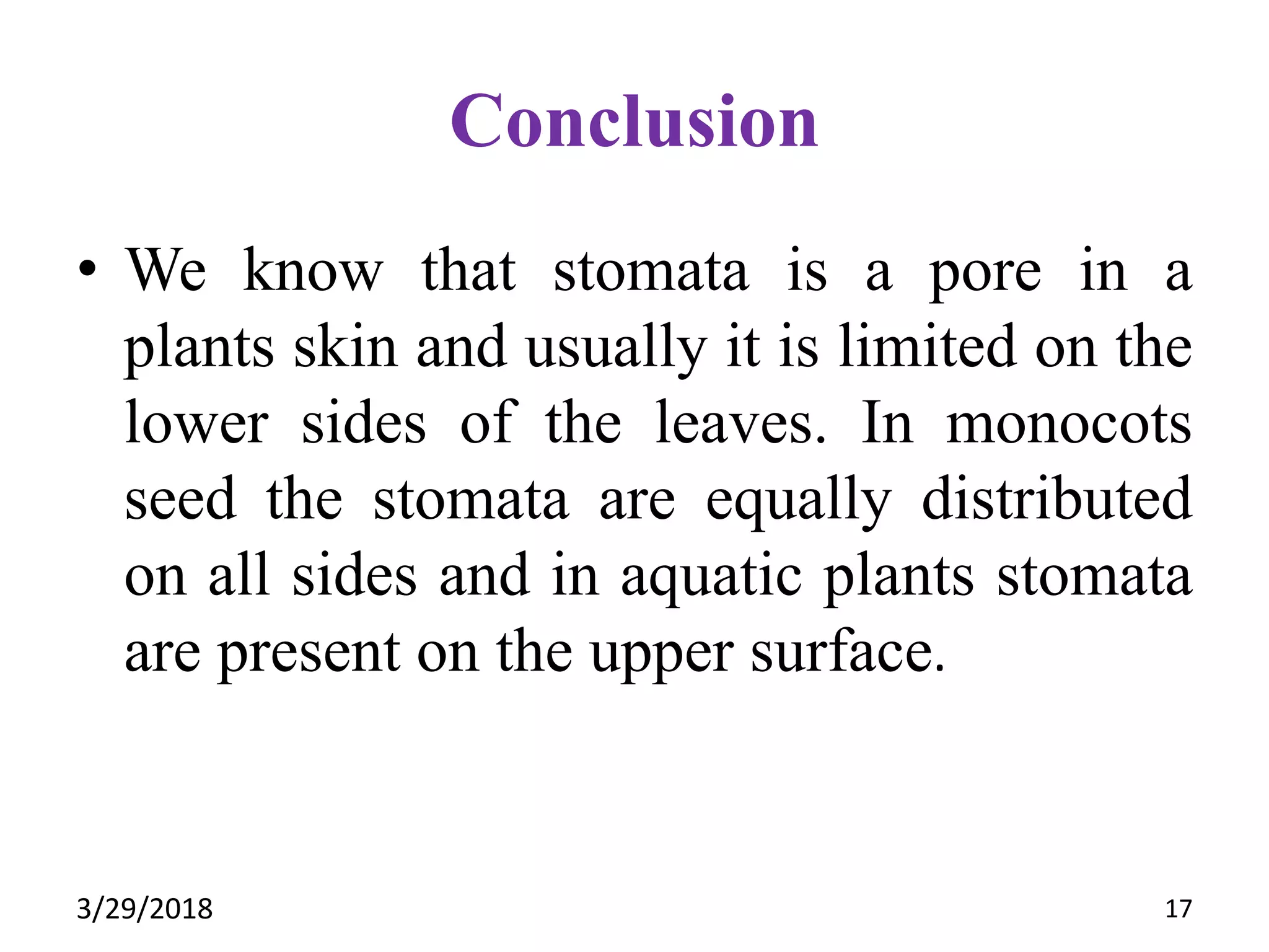 Presentation on stomata | PPTX