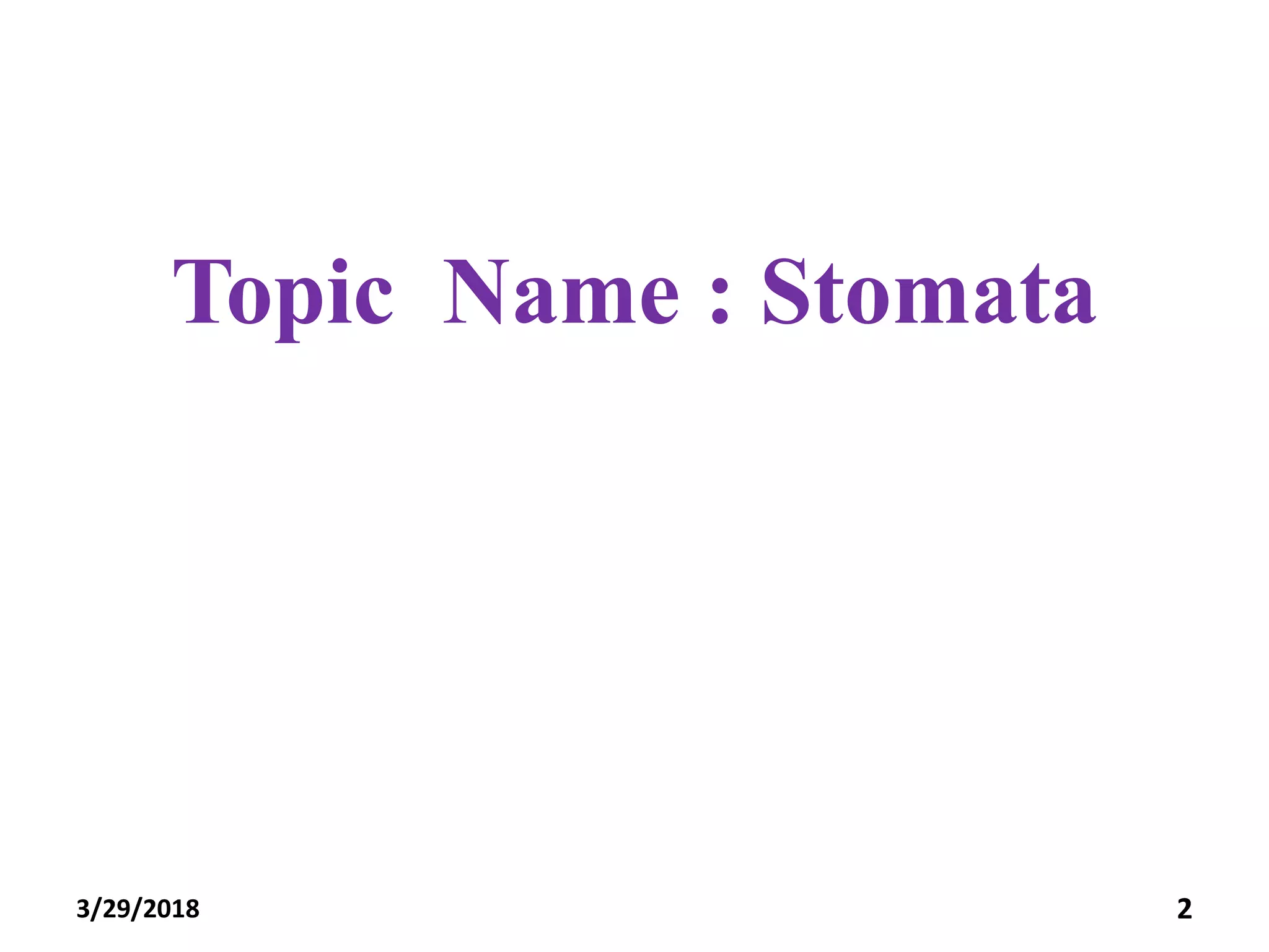 Presentation on stomata | PPTX