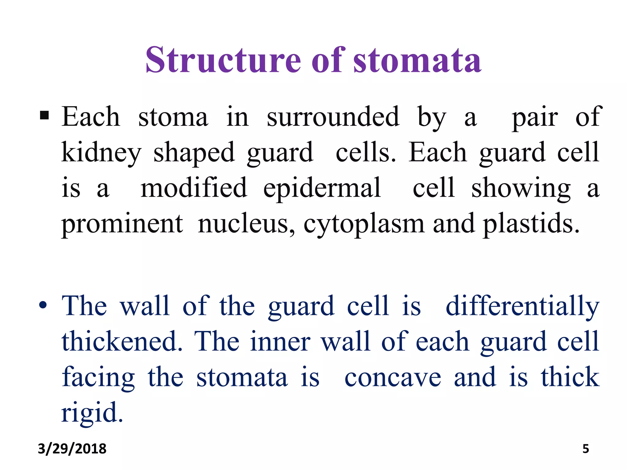 Presentation on stomata | PPTX