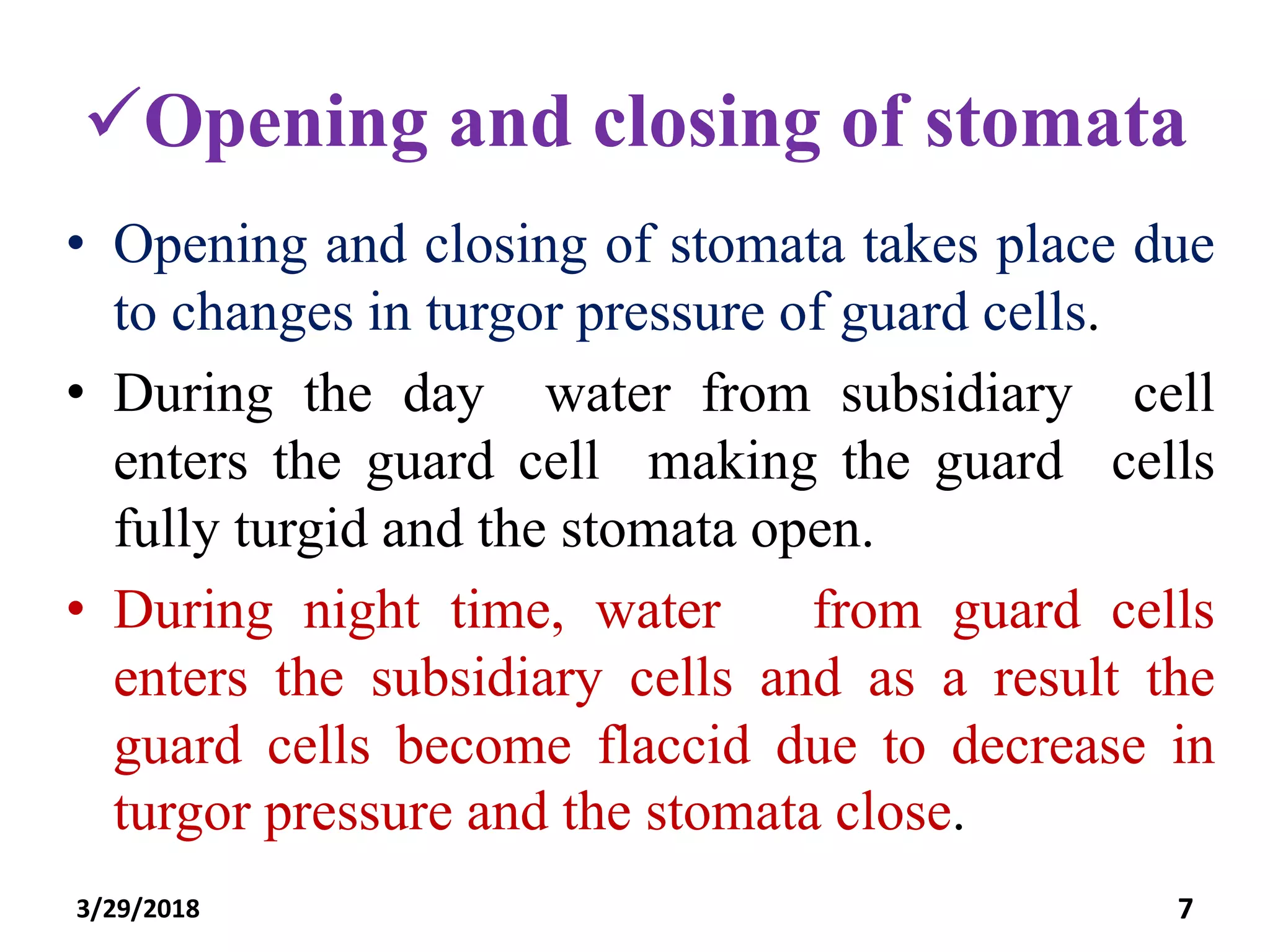 Presentation on stomata | PPTX