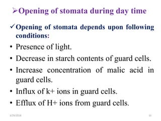 Presentation on stomata | PPTX