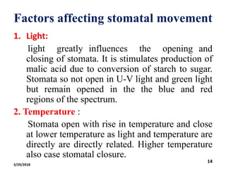 Presentation on stomata | PPTX