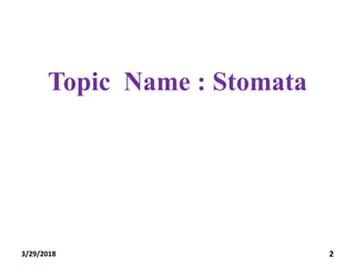 Presentation on stomata | PPTX