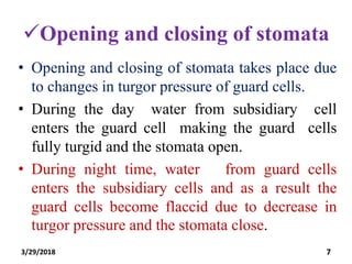 Presentation on stomata | PPTX