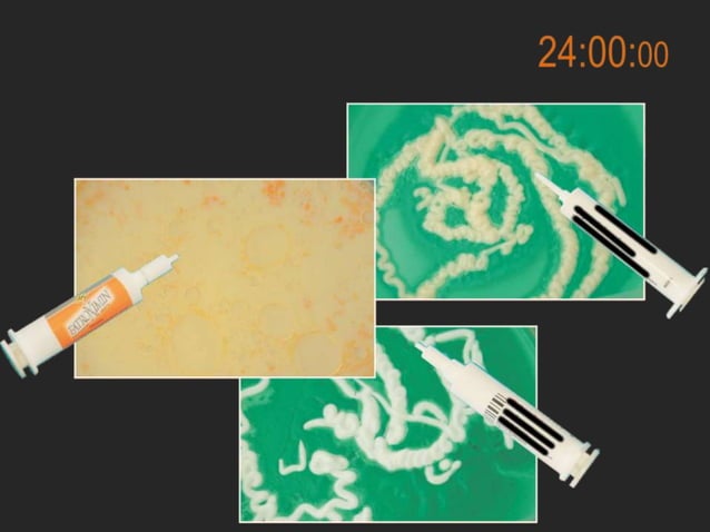 Rifaximin - Fatro worldwide exclusive antibiotic | PPTX