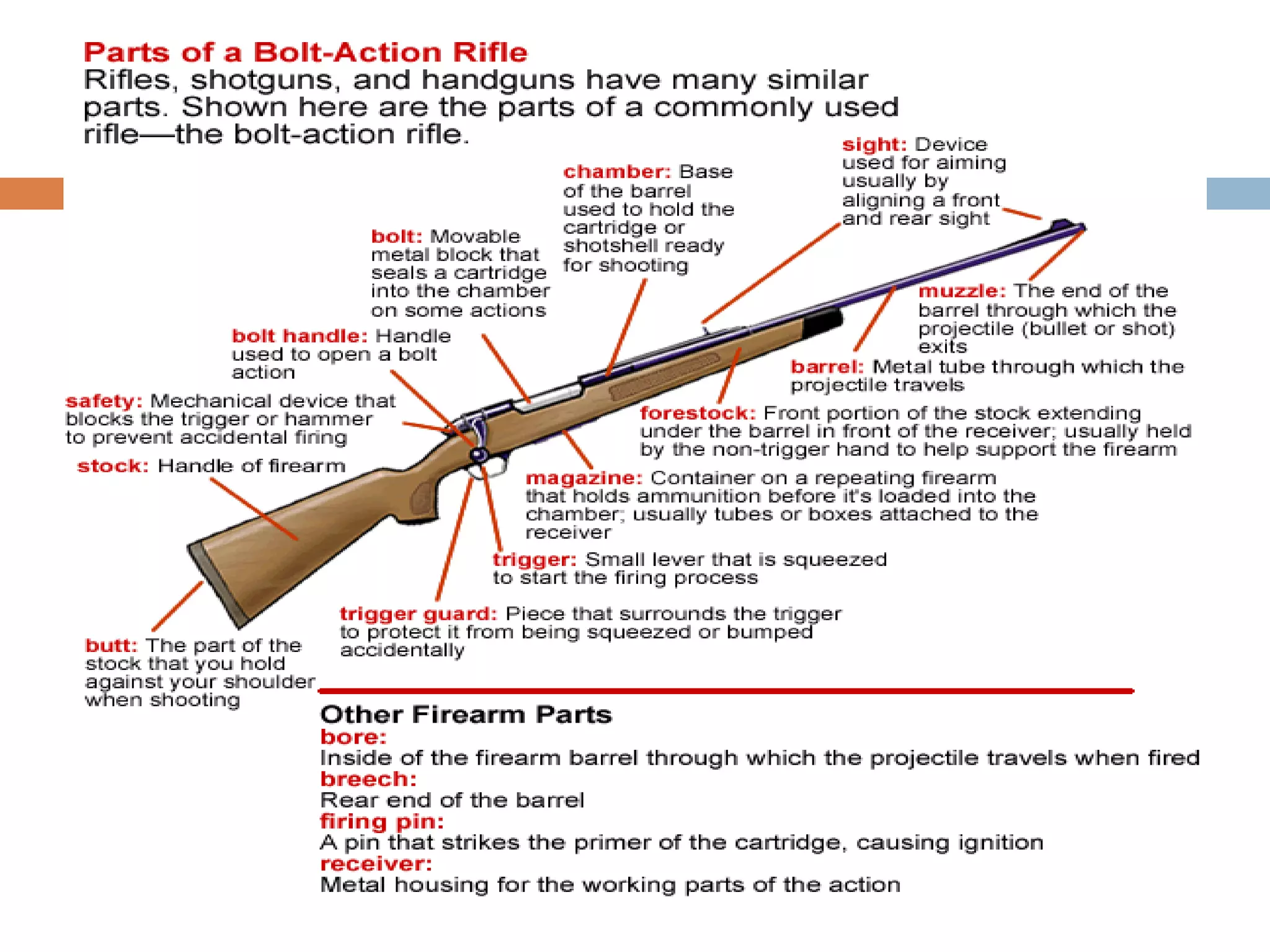 Rifle in forensic ballistics | PPTX