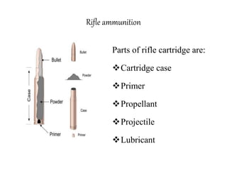 Structure Of A Bullet