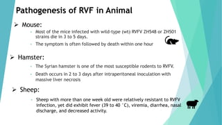 Rift valley-virus | PPTX