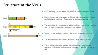 Rift valley-virus | PPTX