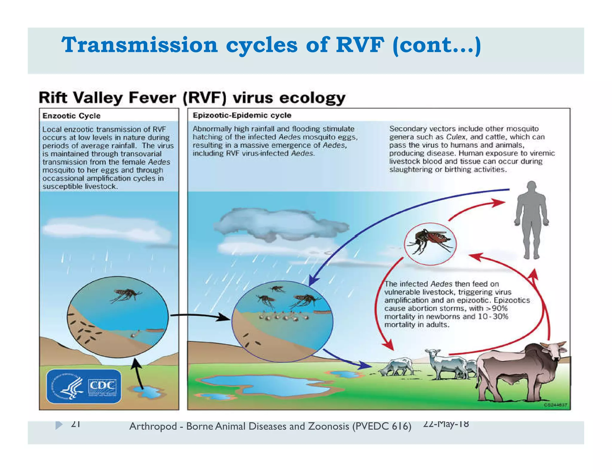 Rift valley fever ppt. | PDF