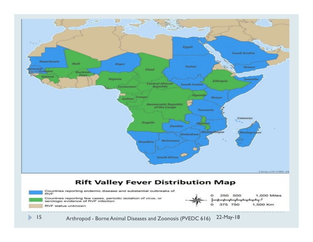 Rift Valley Fever Ppt Ppt