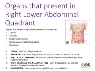Right Abdominal Quadrant by Vinjarapu Dhana sree | PPTX