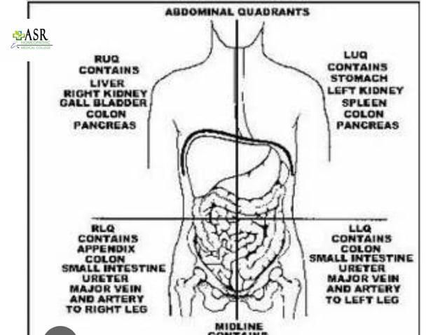 Right Abdominal Quadrant by Vinjarapu Dhana sree | PPTX