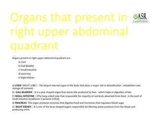 Right Abdominal Quadrant by Vinjarapu Dhana sree | PPTX