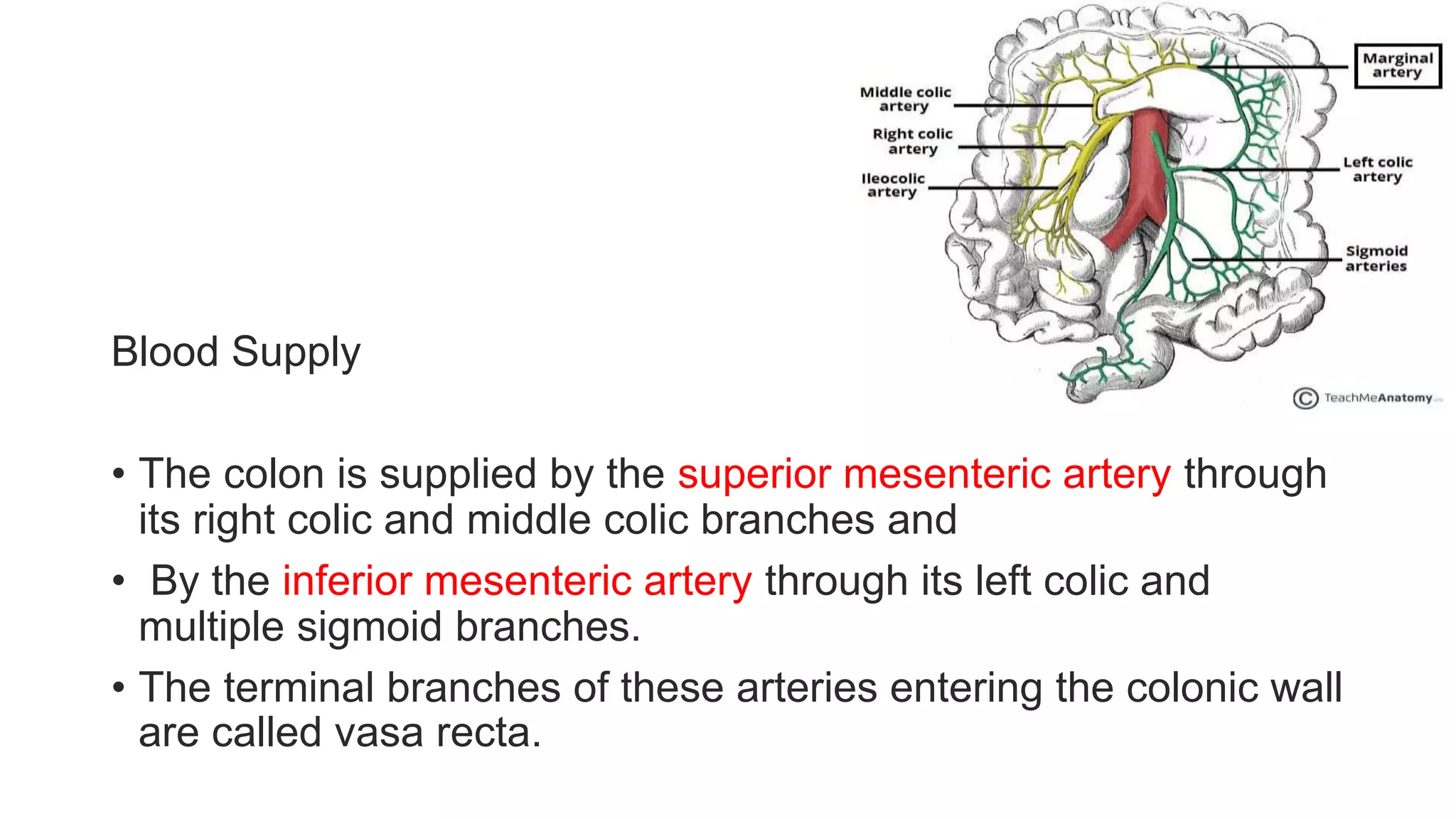 Right Hemicolectomy.pptx