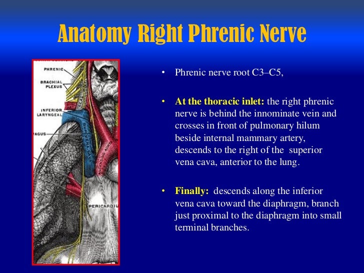 Right hemidiaphragm paralysis after EA & TEF repair.