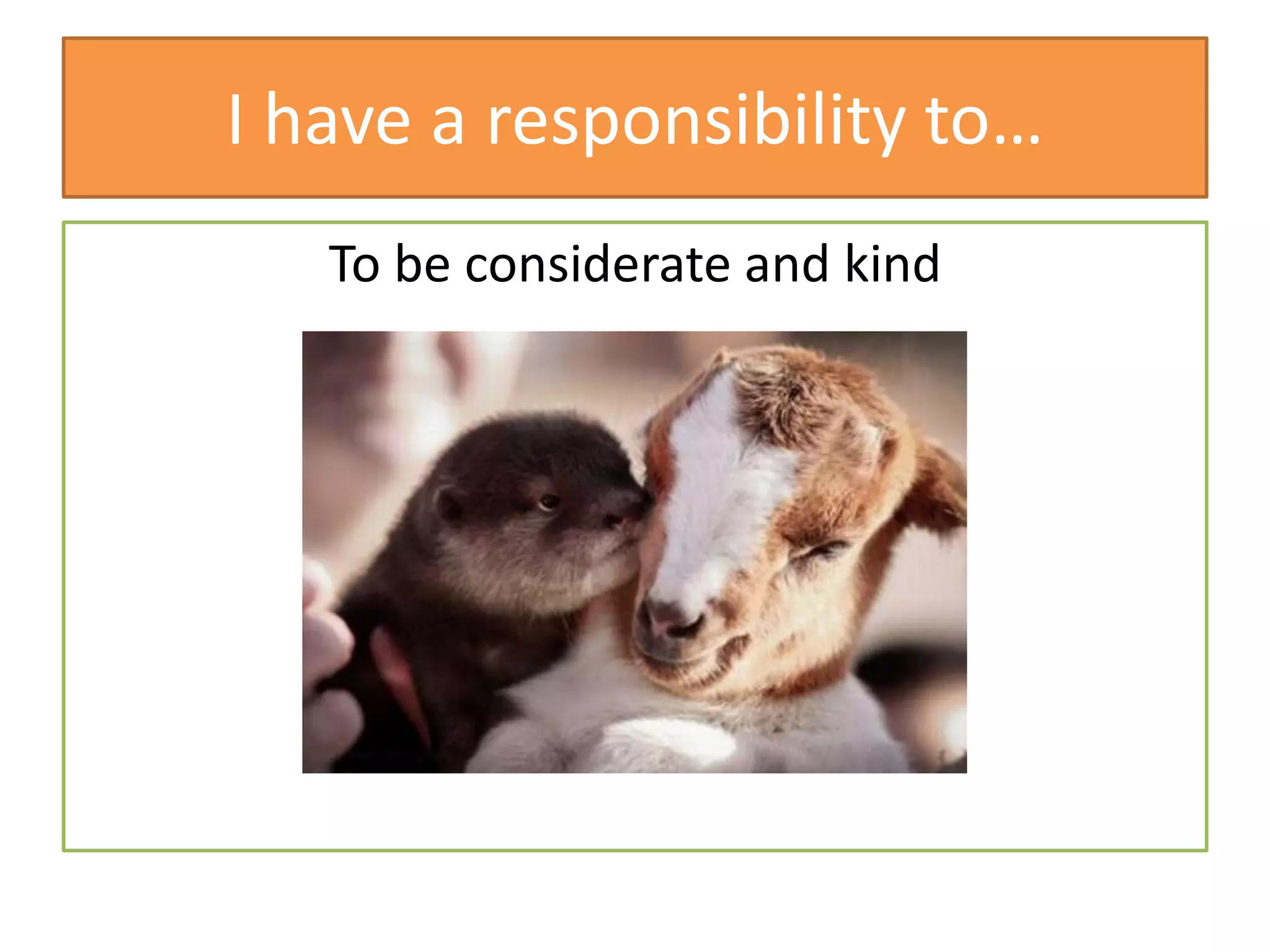 Rights and responsibilities in relationships | PPTX