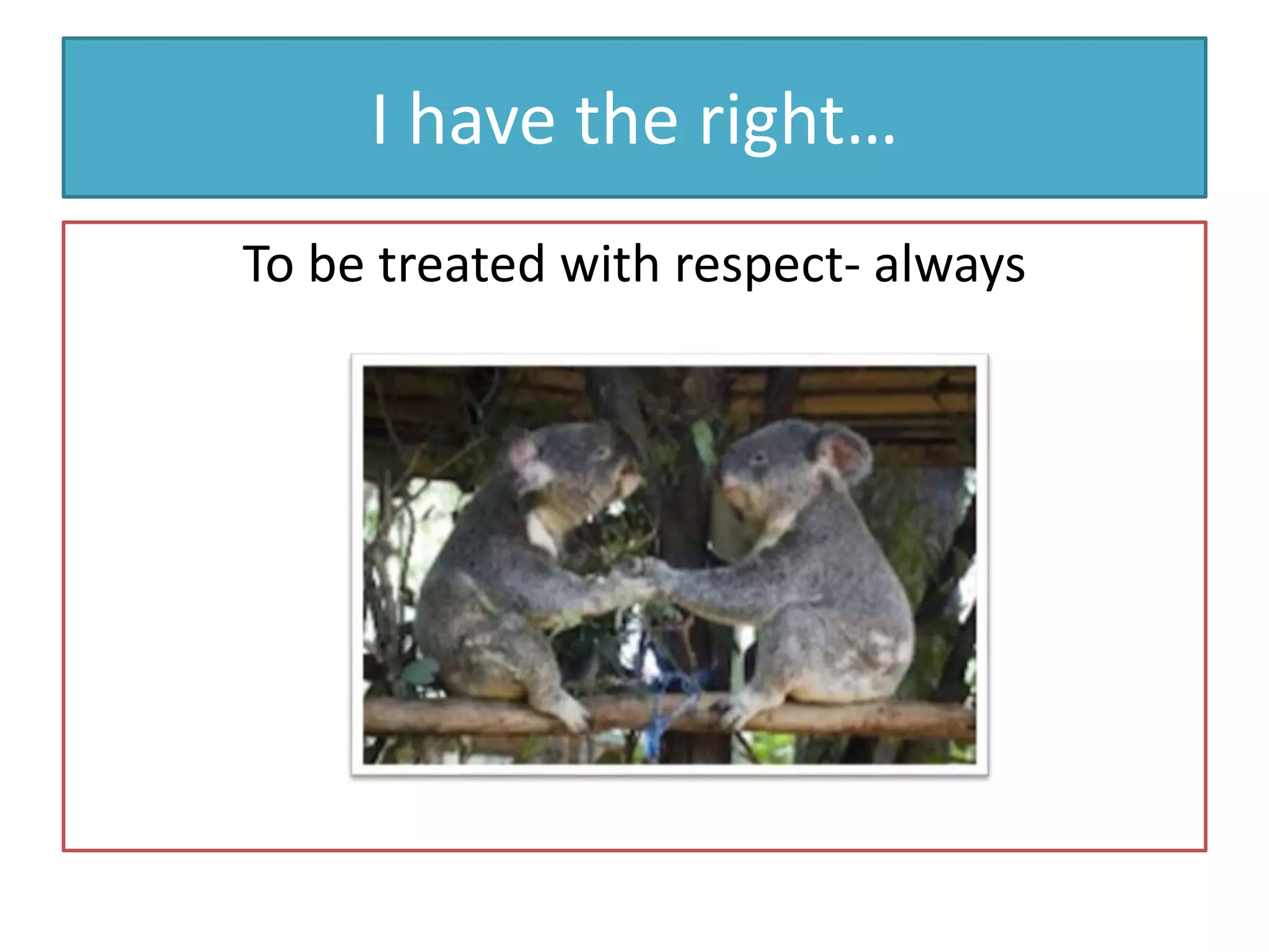 Rights and responsibilities in relationships | PPTX