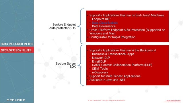 Rights Management SDK & API Data Protection Solutions | PPTX