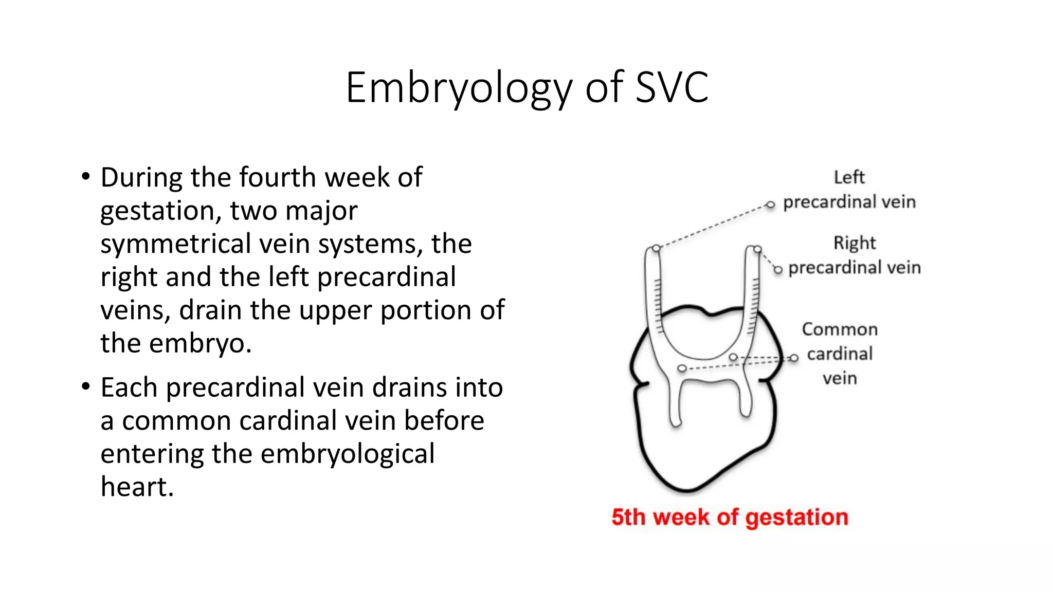 Right superior vena cava draining to left atrium | PPTX