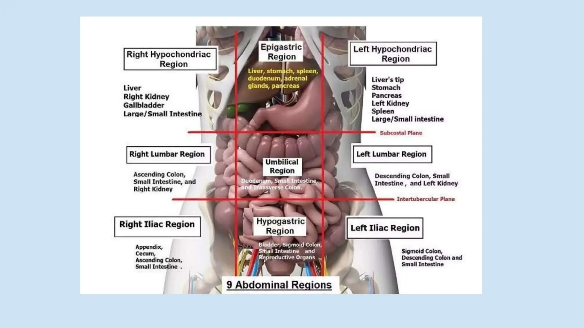Right upper quadrant Lump lecture (1).pptx