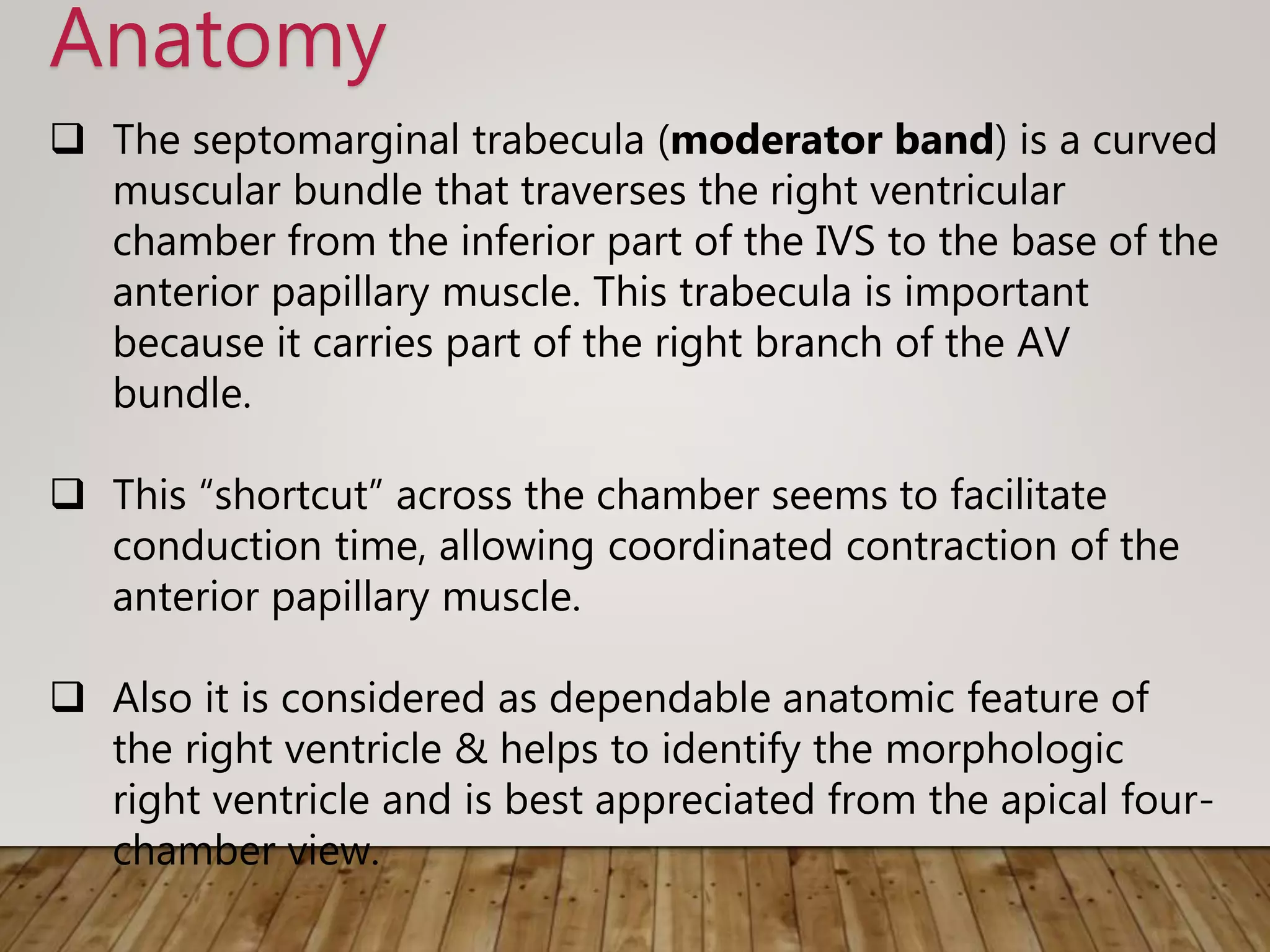 Right Ventricle Anatomy, Physiology & ECHO Assessment by Dr. Vaibhav ...