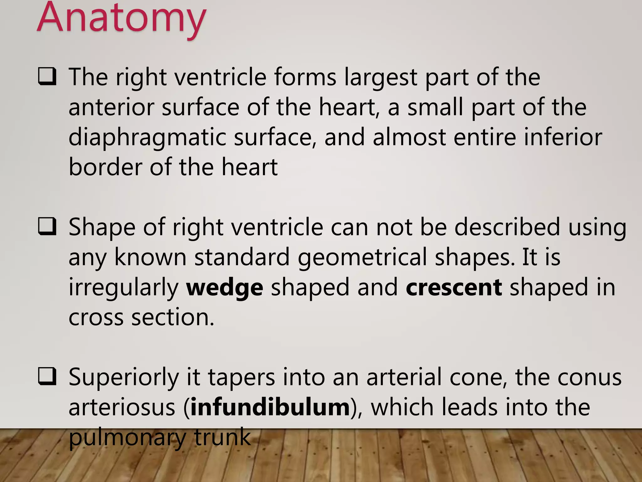 Right Ventricle Anatomy, Physiology & ECHO Assessment by Dr. Vaibhav ...