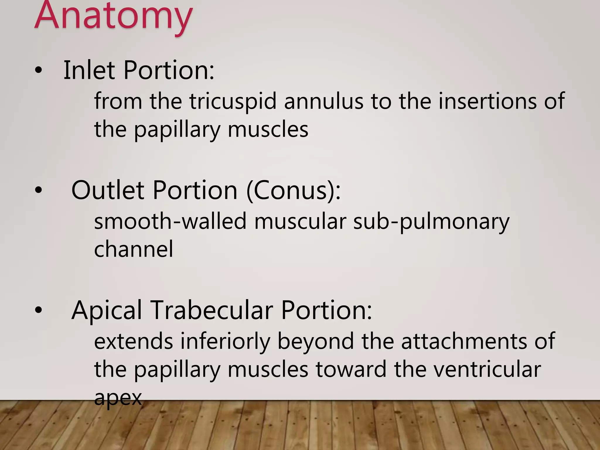 Right Ventricle Anatomy, Physiology & ECHO Assessment by Dr. Vaibhav ...