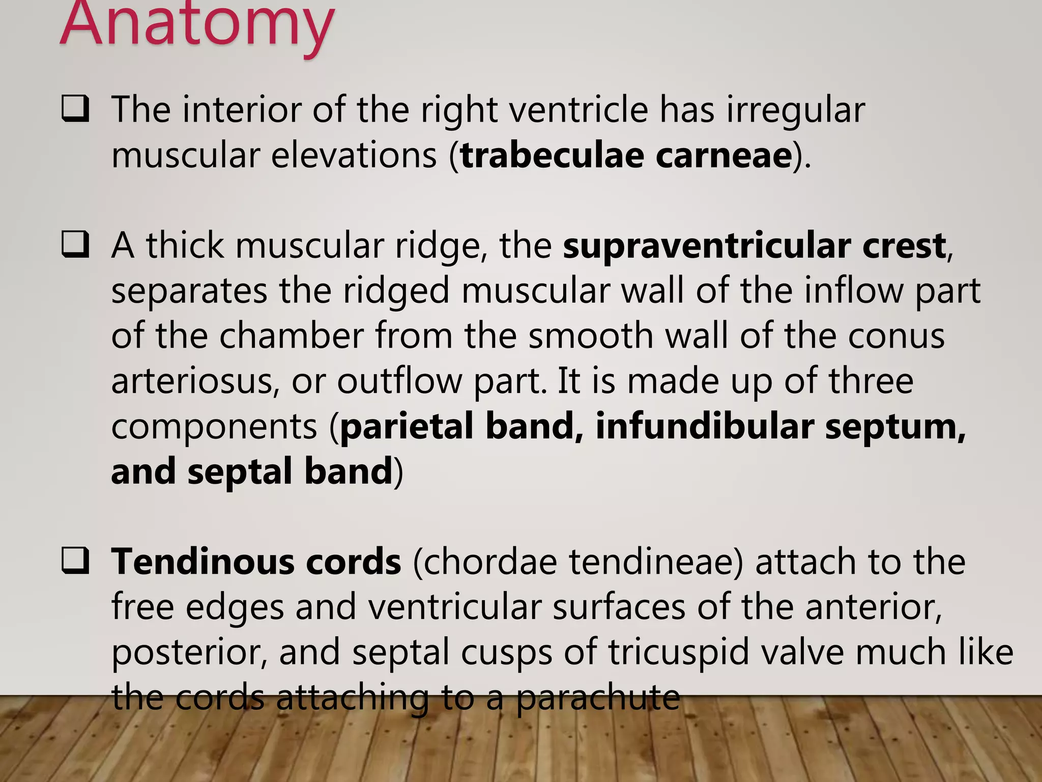 Right Ventricle Anatomy, Physiology & ECHO Assessment by Dr. Vaibhav ...