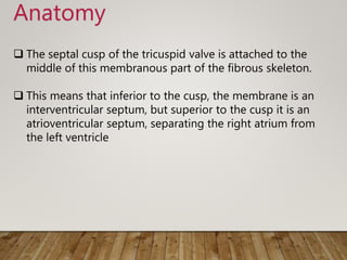 Right Ventricle Anatomy, Physiology & ECHO Assessment by Dr. Vaibhav ...