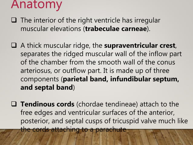 Right Ventricle Anatomy, Physiology & ECHO Assessment by Dr. Vaibhav ...
