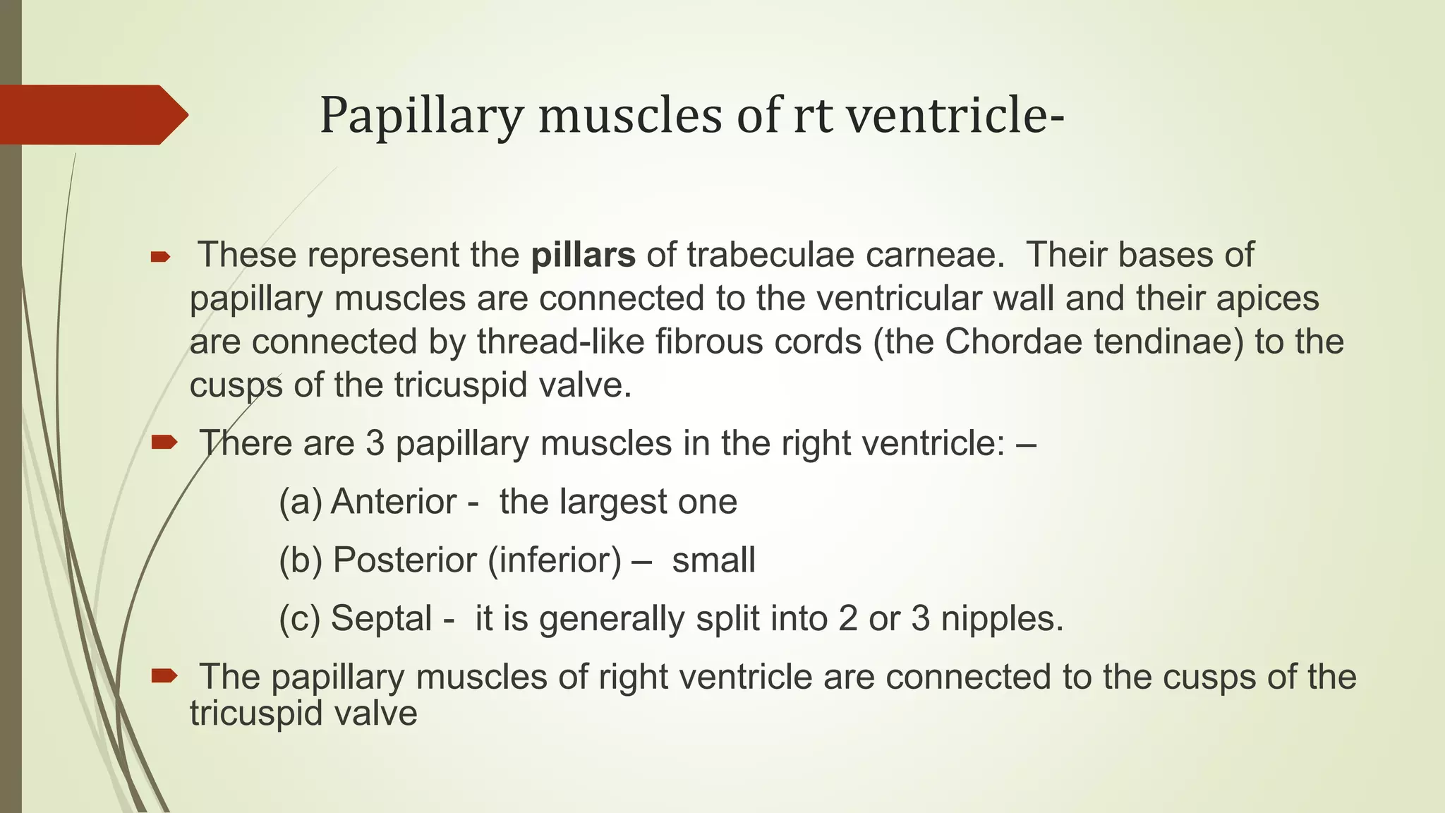 Right ventricle | PPTX