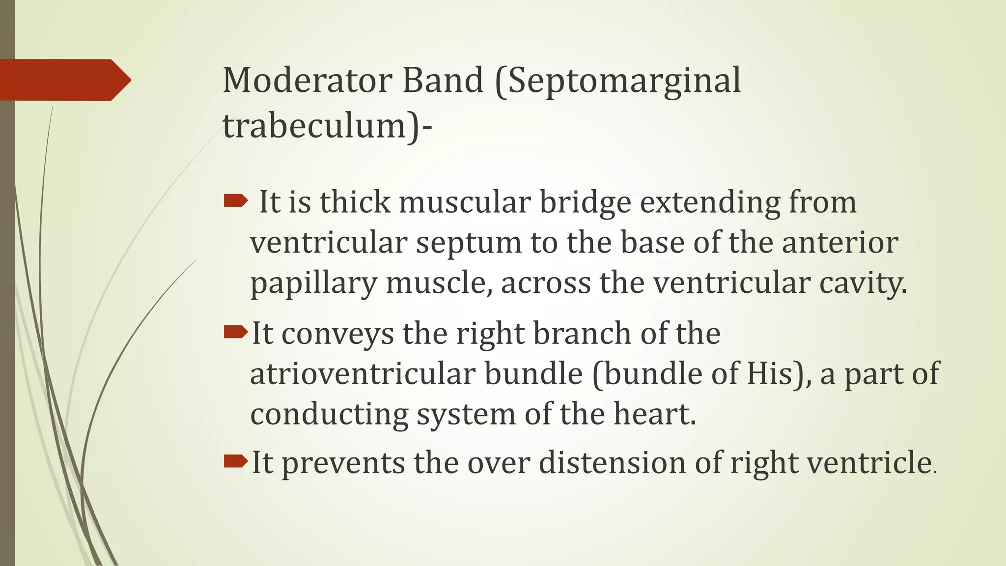 Right ventricle | PPTX