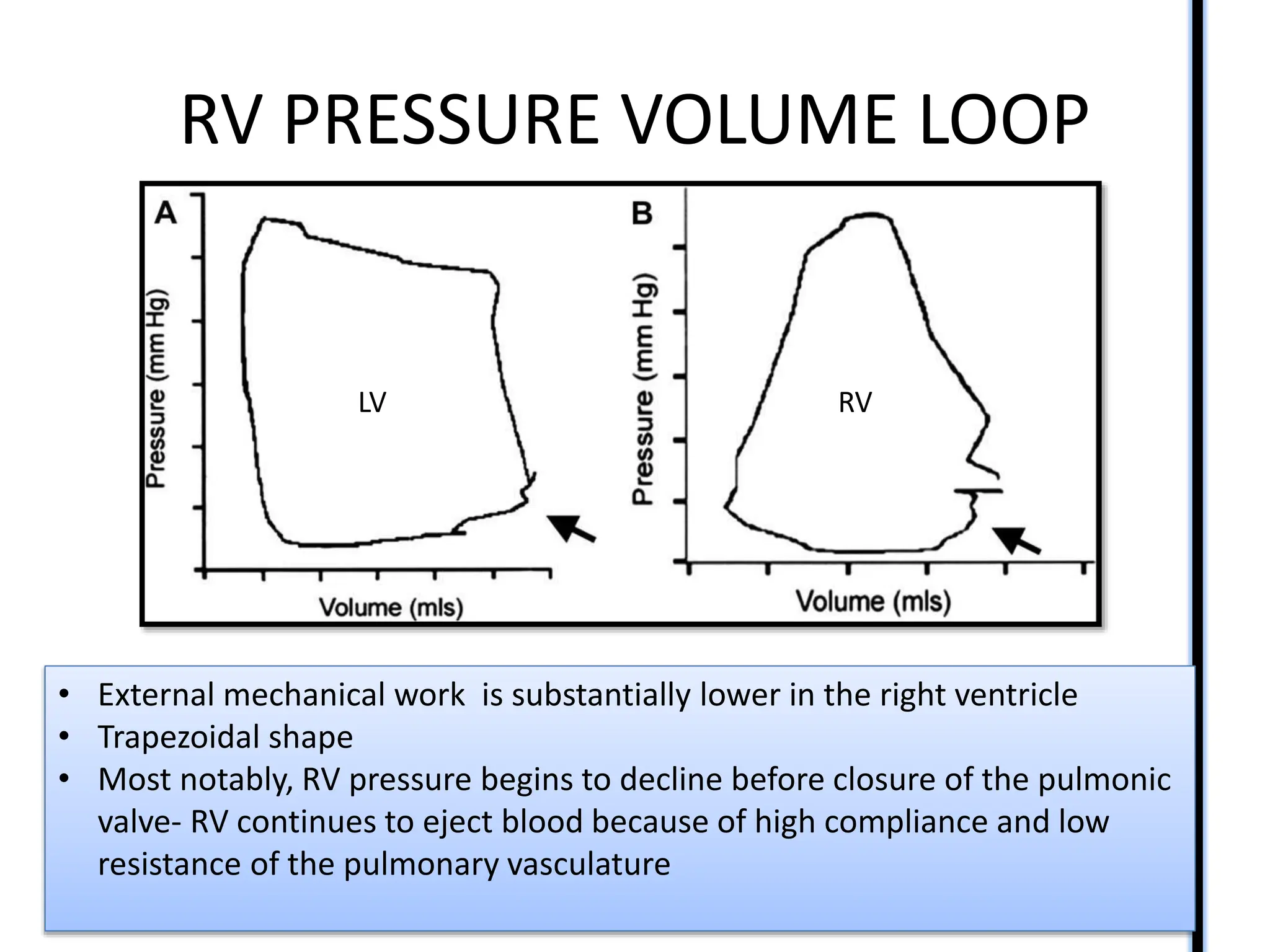 Right ventricle anatomy ,physiology and echo findings.ppt