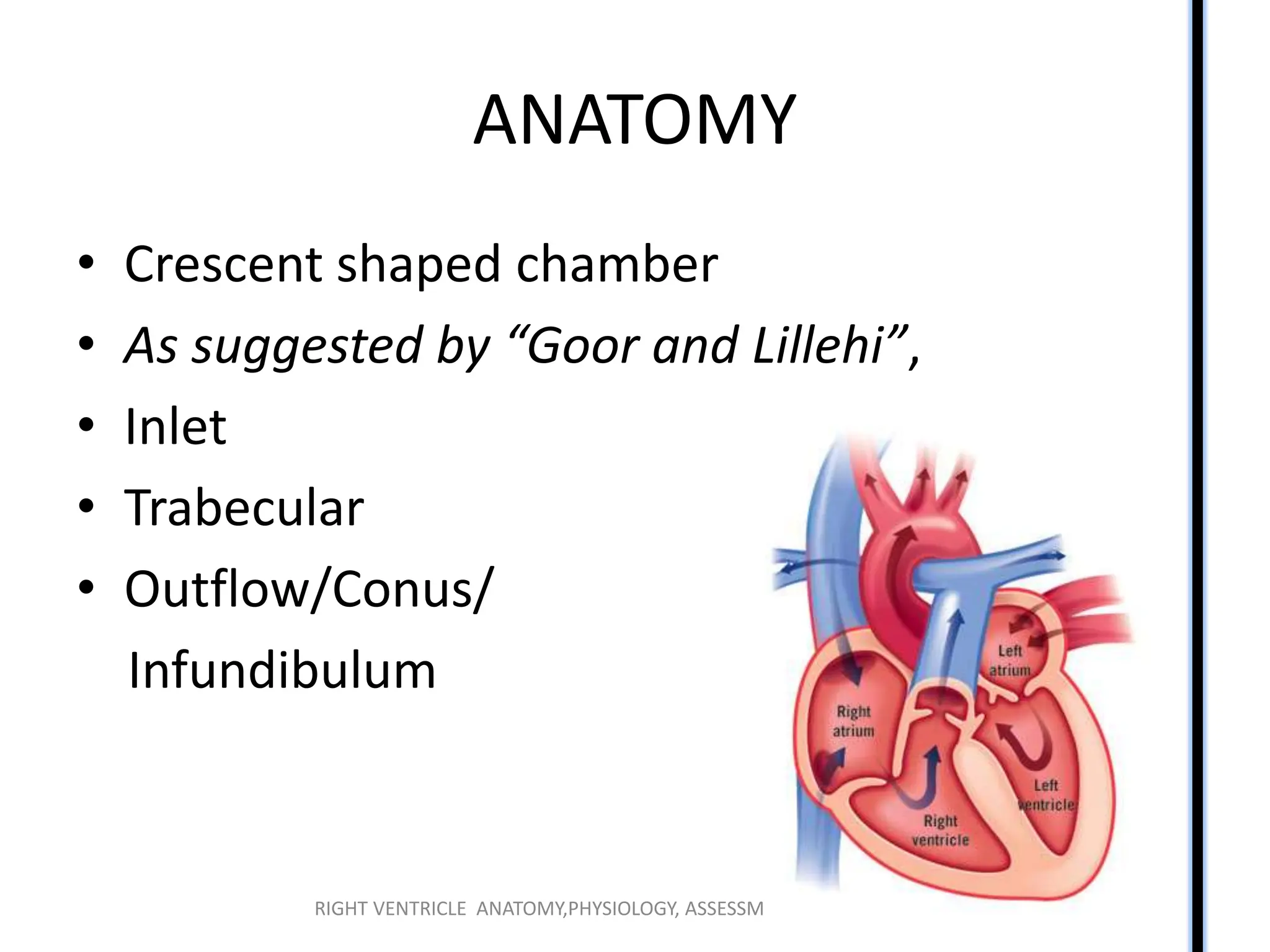 Right ventricle anatomy ,physiology and echo findings.ppt