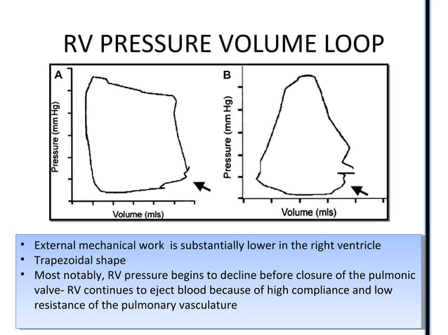 Right ventricle (RV) anatomy and functions | PPT | Heart and ...