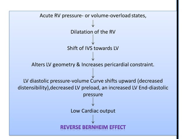Right ventricle (RV) anatomy and functions