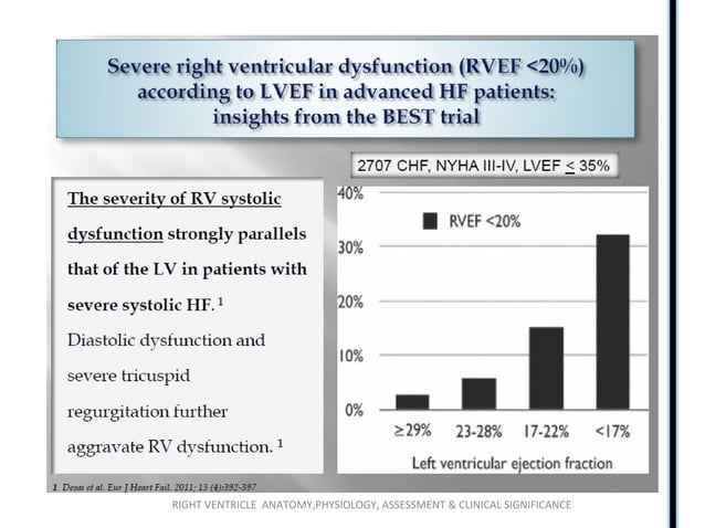 Right ventricle (RV) anatomy and functions