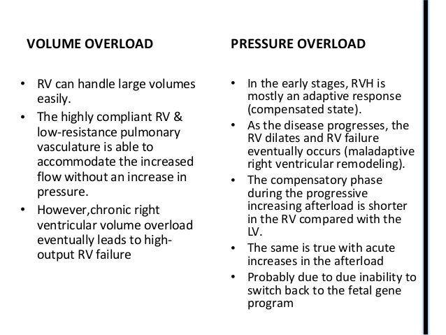 Right ventricle (RV) anatomy and functions