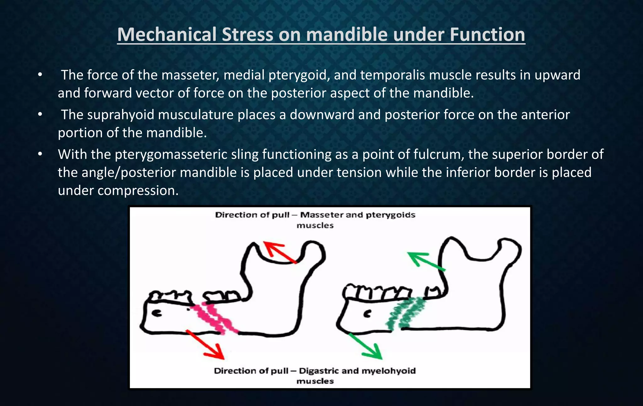Rigid internal fixation | PPTX