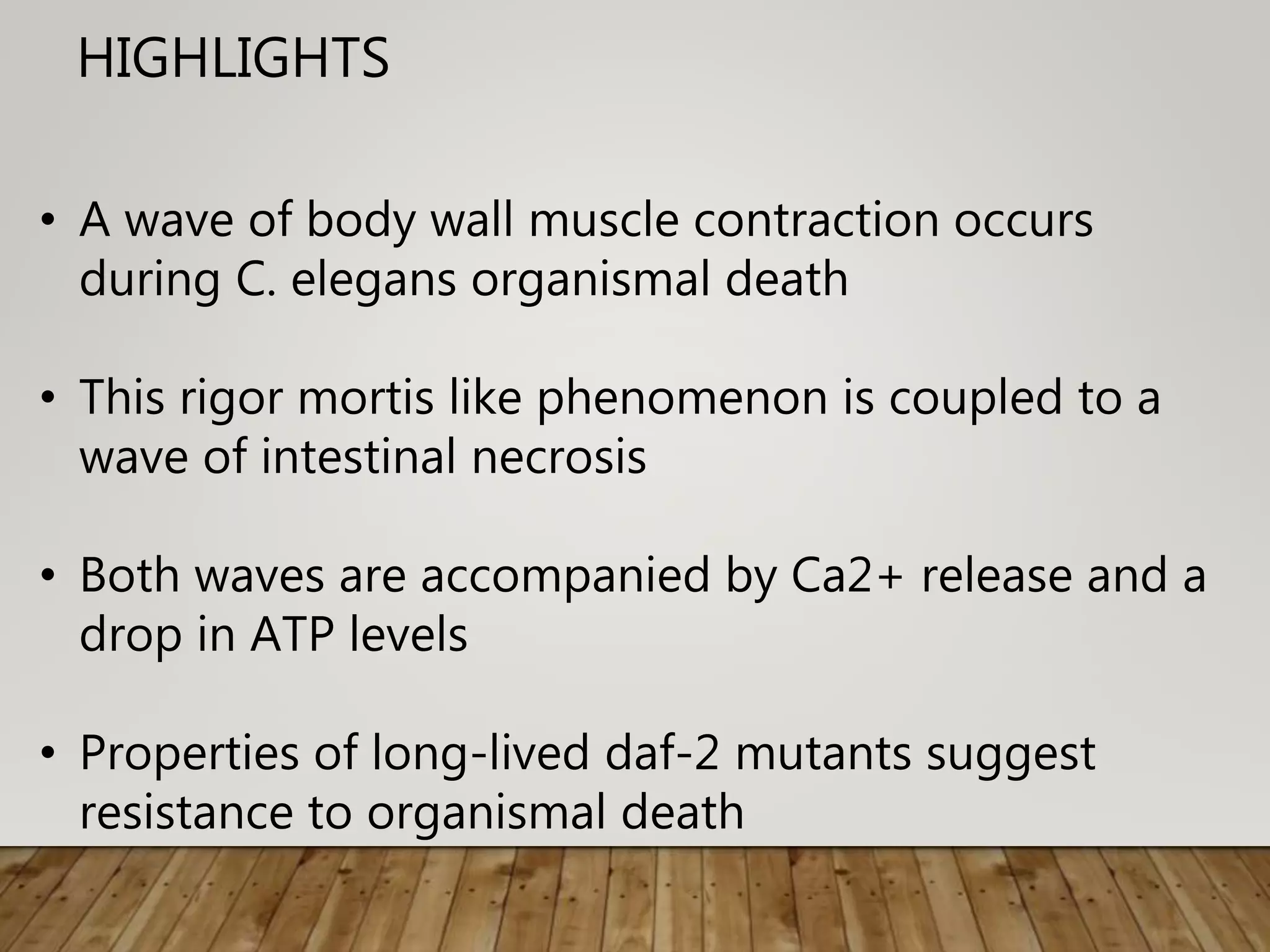 Rigor Mortis and Intestinal Necrosis During C. elegans Death | PPTX