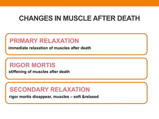 RIGOR MORTIS forensic medicine Late pm changes.pptx